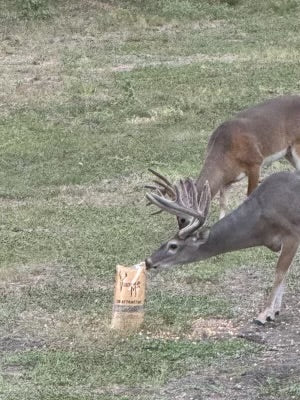 Vineyard Max Deer Products